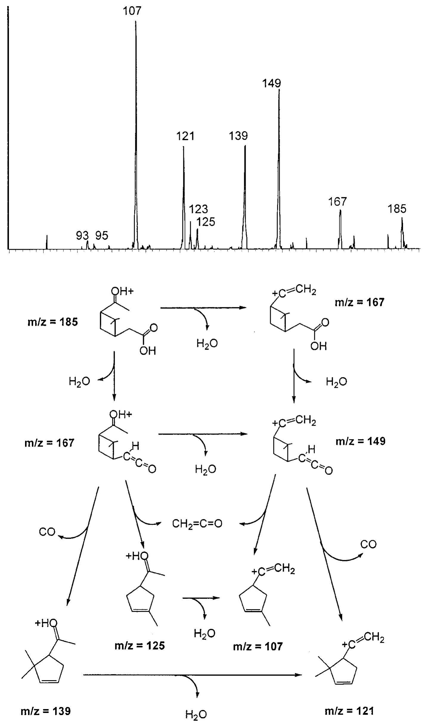 , cid mass spectrum and fragmentation pathway of pinonic