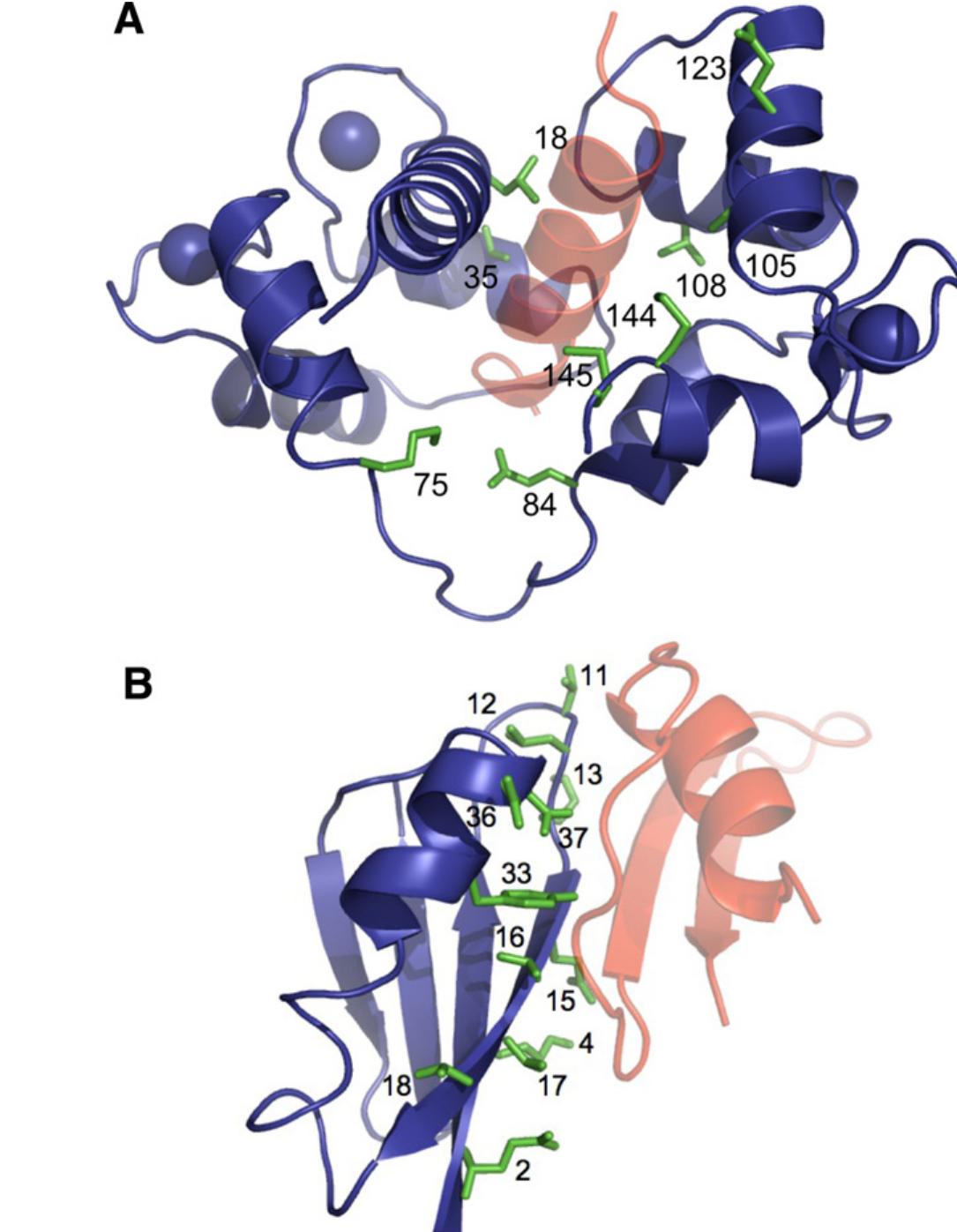 Figure 4 - Transfer-PCR (TPCR): A highway for DNA cloning