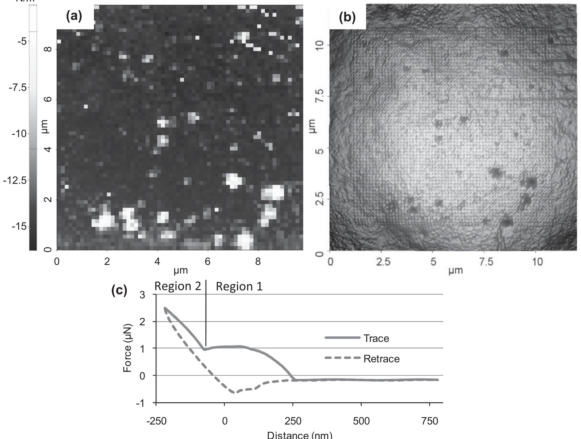 A) surface stiffness map, b) corresponding topography