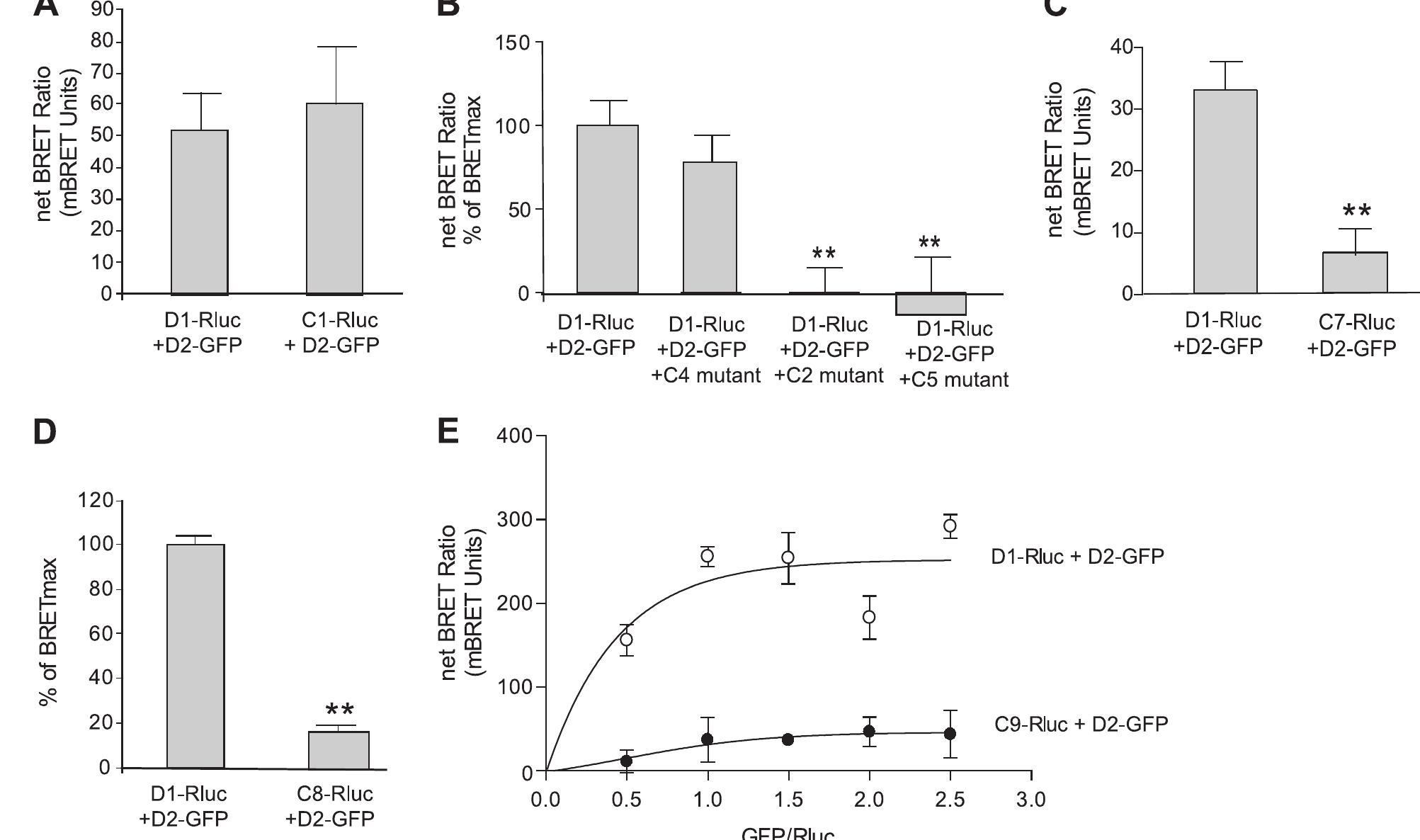 Defining The Amino Acids From The D1 C Tail Involved In