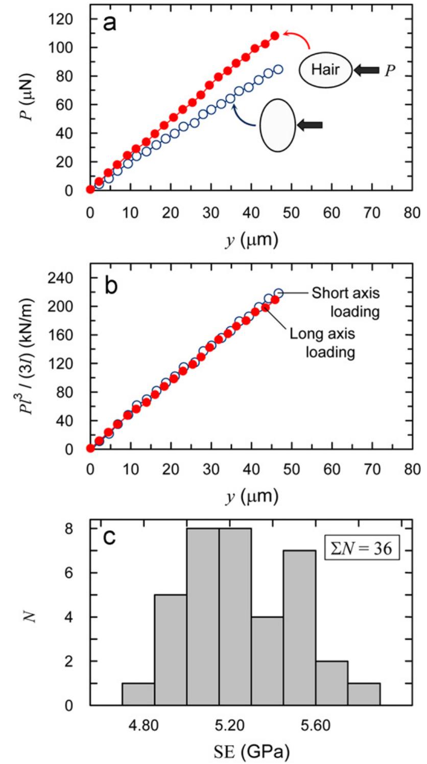(a) relationships between load p and displacement y for