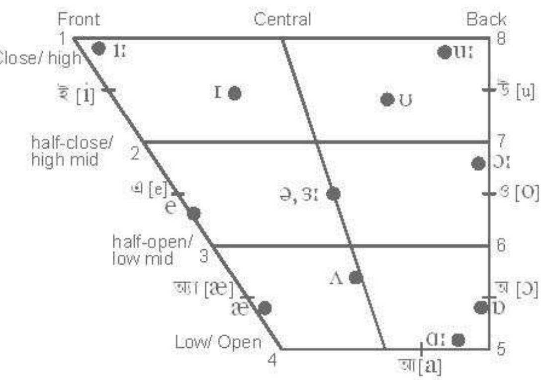 Chart 3: diagram showing bengali and english vowels