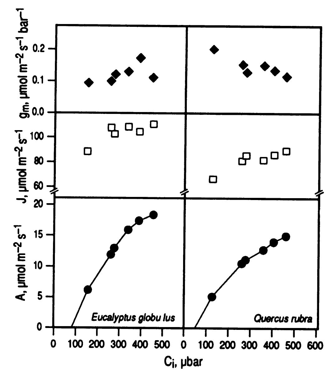Plot of gm, j, and a as functions of c;. the calculation of