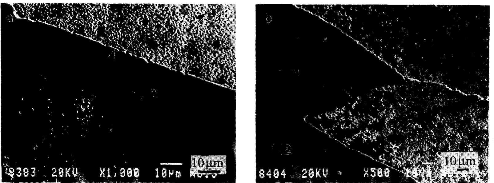 Microstructures of [110] compression specimens, twin