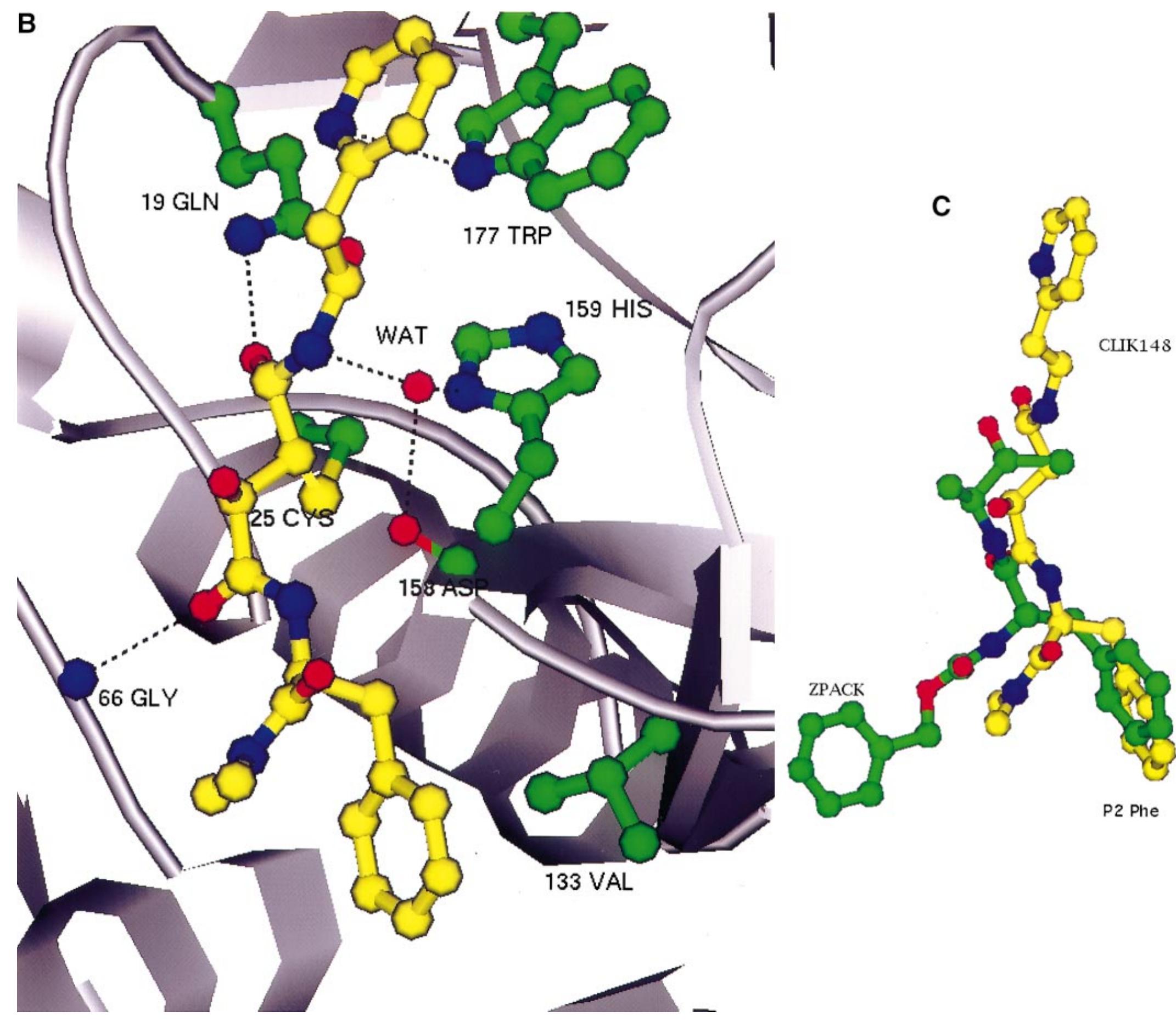 (a) omit electron density map of around clik148. the map