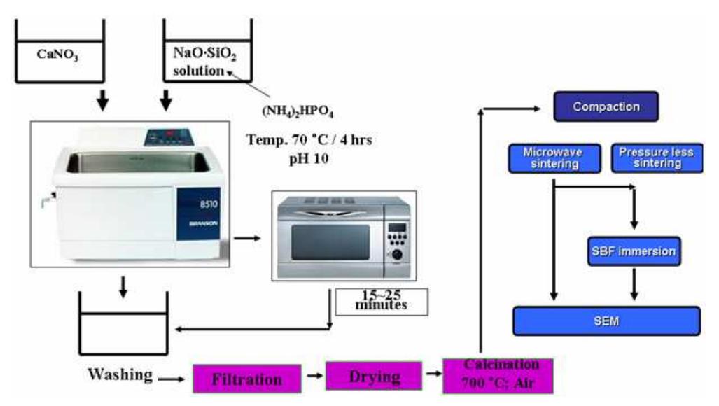 Schematic diagram of bio-glass synthesis and