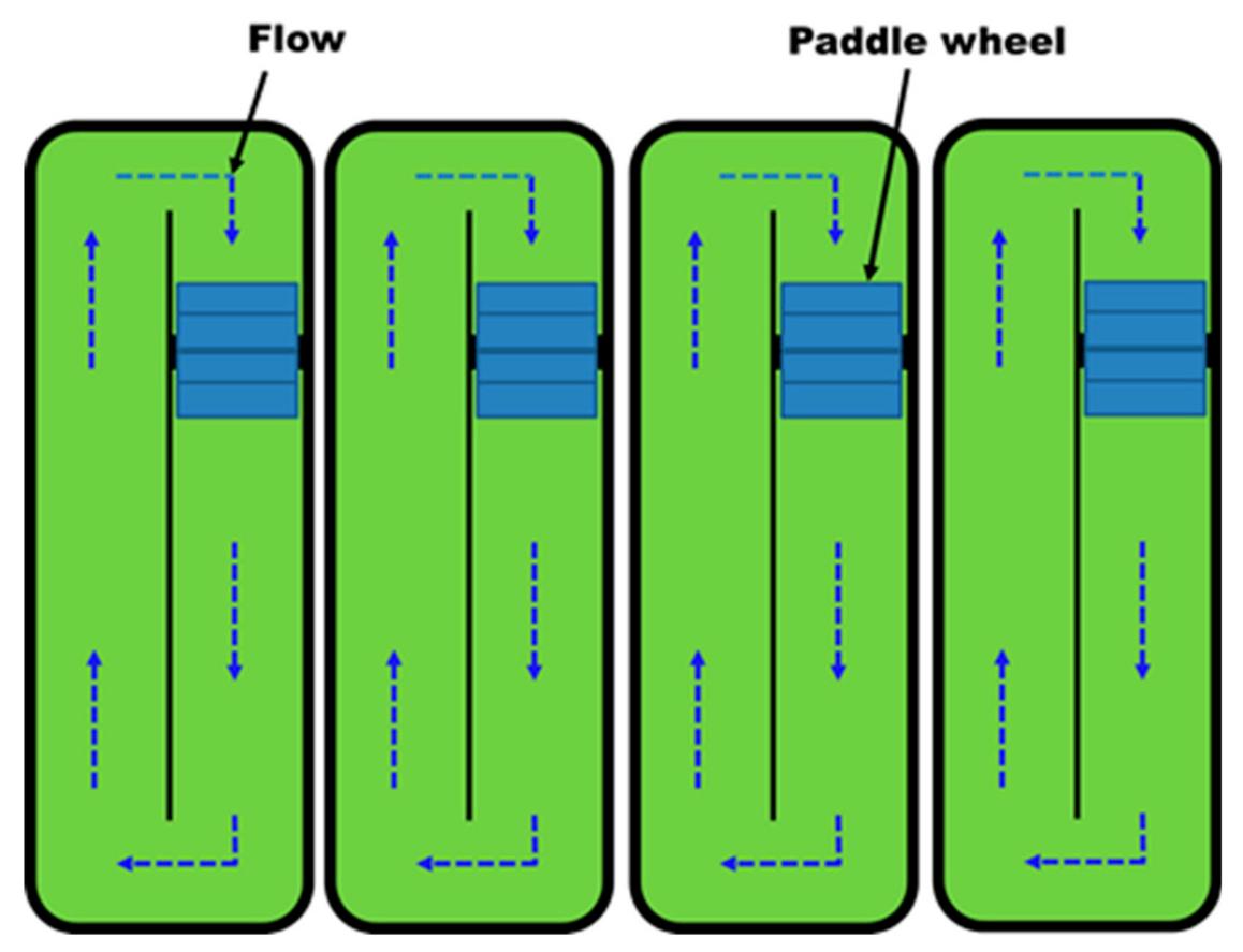 Schematic diagram showing simple open raceway pond with