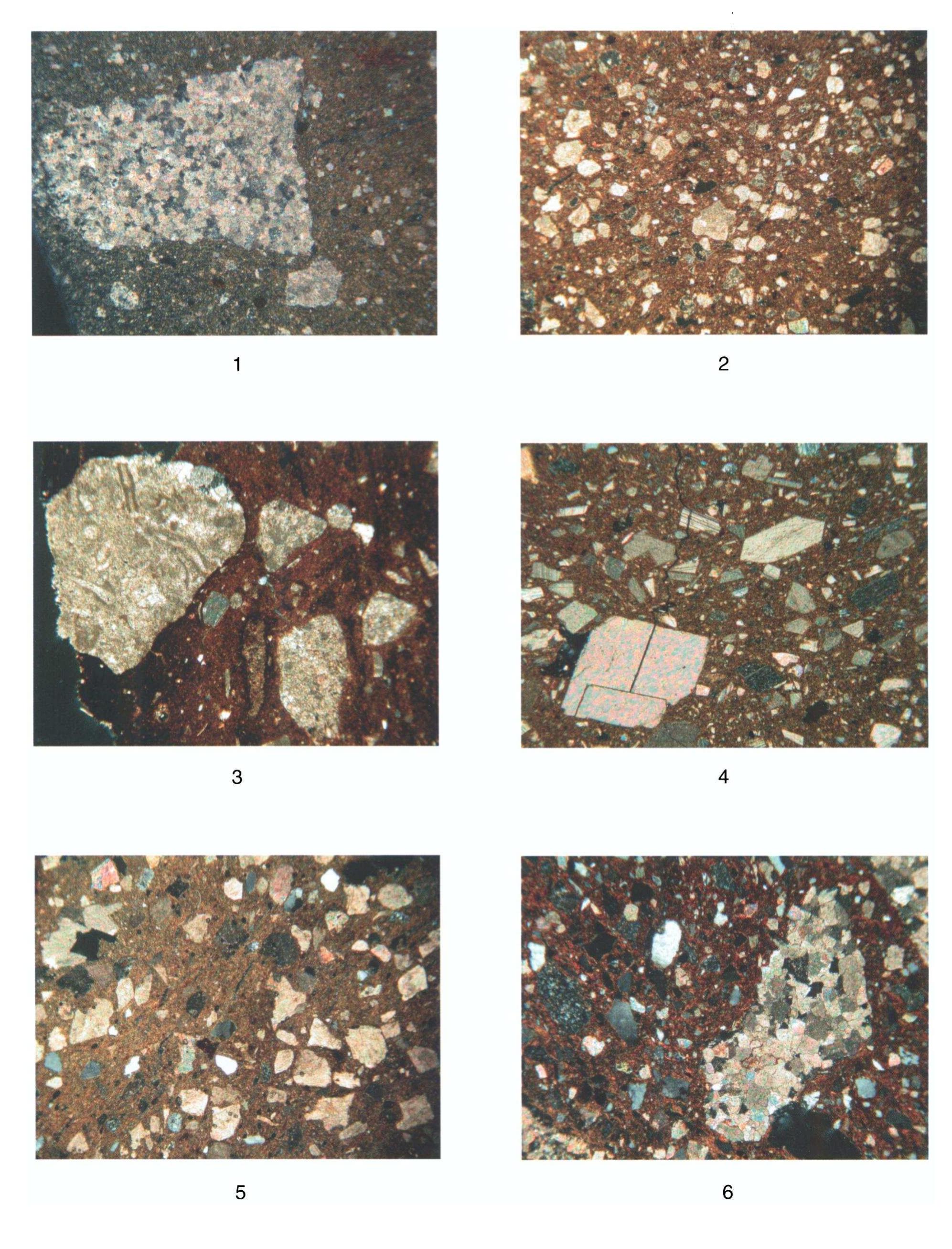 Photomicrographs of the main neolithic fabrics local to