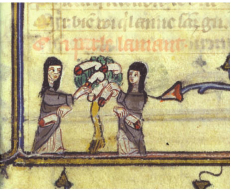 (PDF) The Phallus Tree: A Medieval and Renaissance Phenomenon
