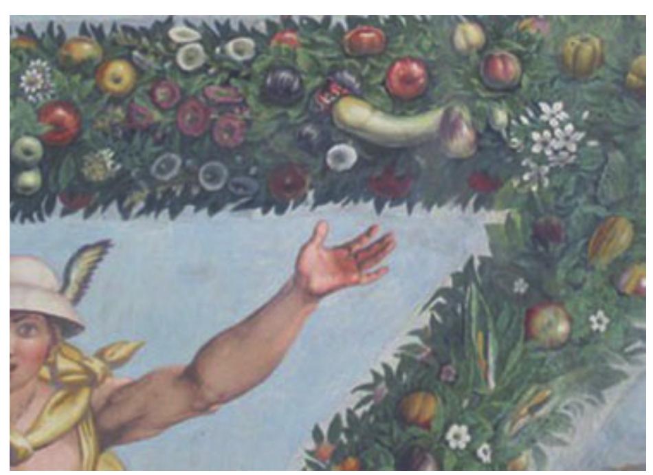 Figure 8 - The Phallus Tree: A Medieval and Renaissance