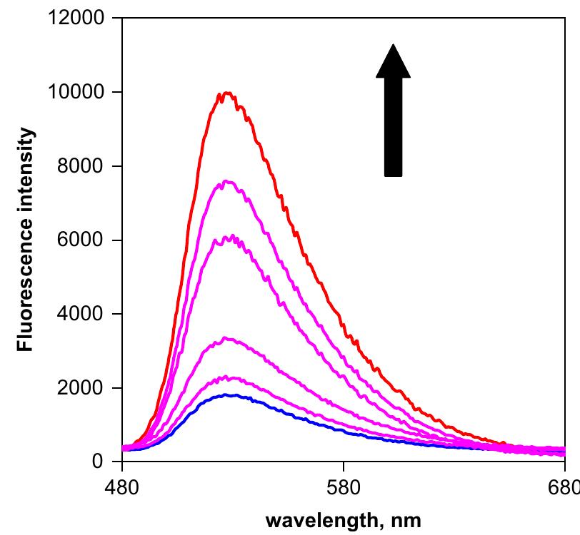 Fluorescence spectra of acridine orange 5 (1.0-10-° m) in