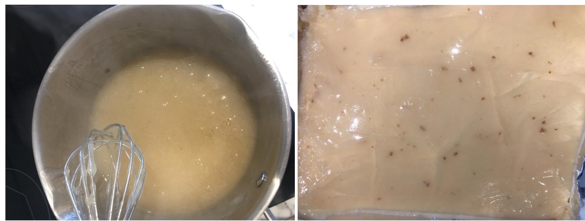 Agar-agar trial wet biofilm figure 5 agar-agar trial cooking