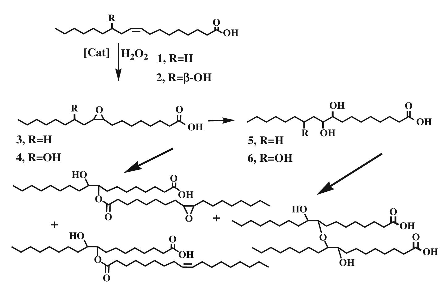 Expected scheme of the unsaturated fatty acids oxidation
