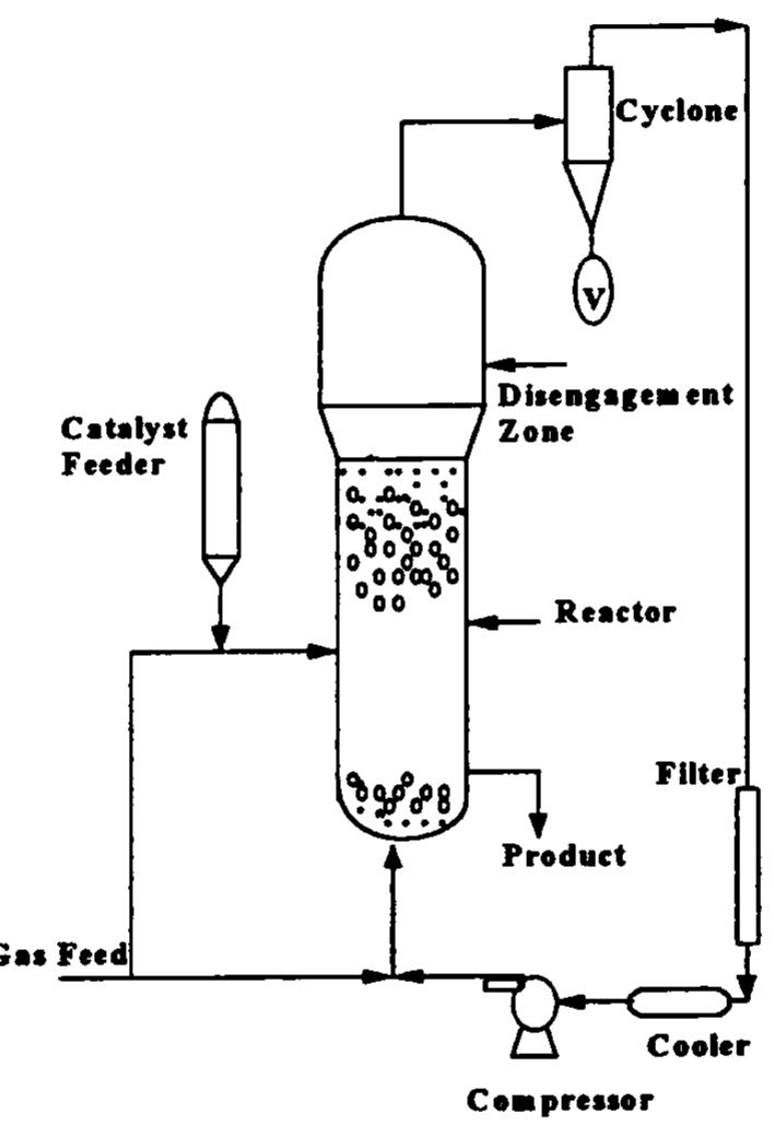 Schematic diagram of the fluidized bed reactor for