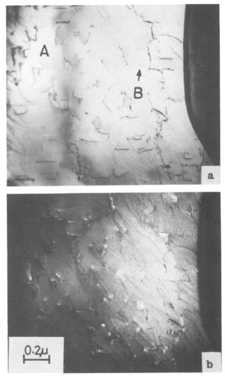(a) bright field electron micrograph showing pairs of