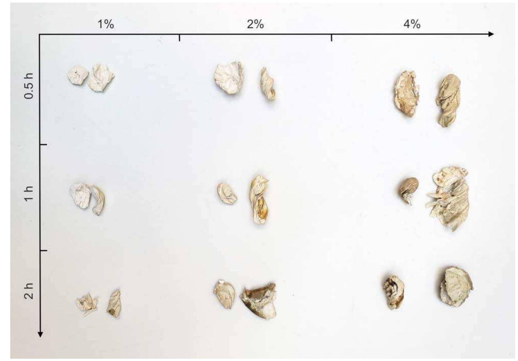 Comparison between the purified pha at different