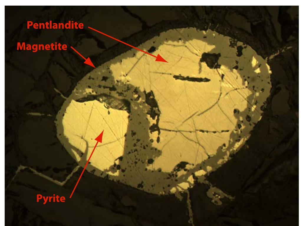 Magnetite rim around the sulfide minerals pyrite and