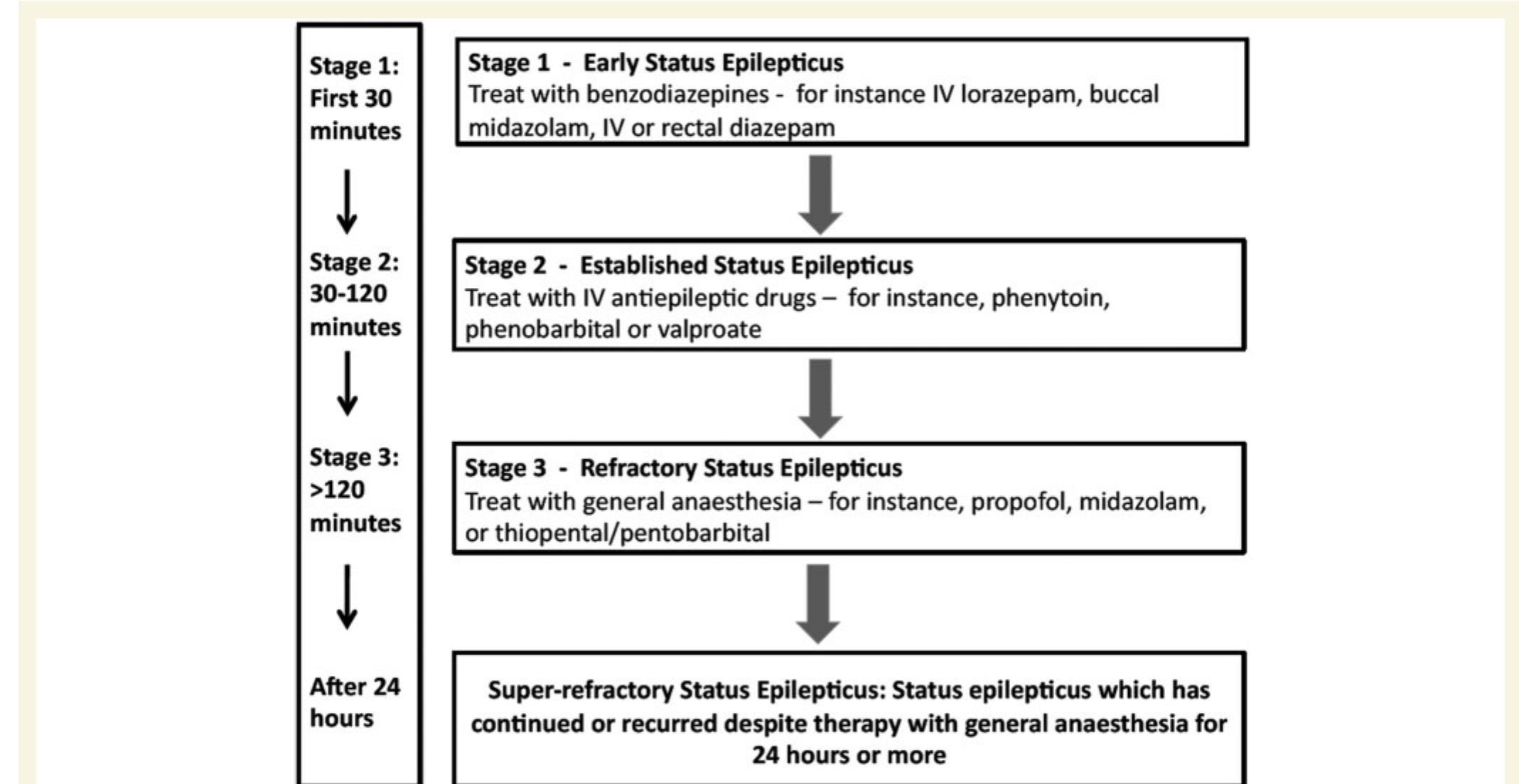 The stages of treatment of status epilepticus. it is