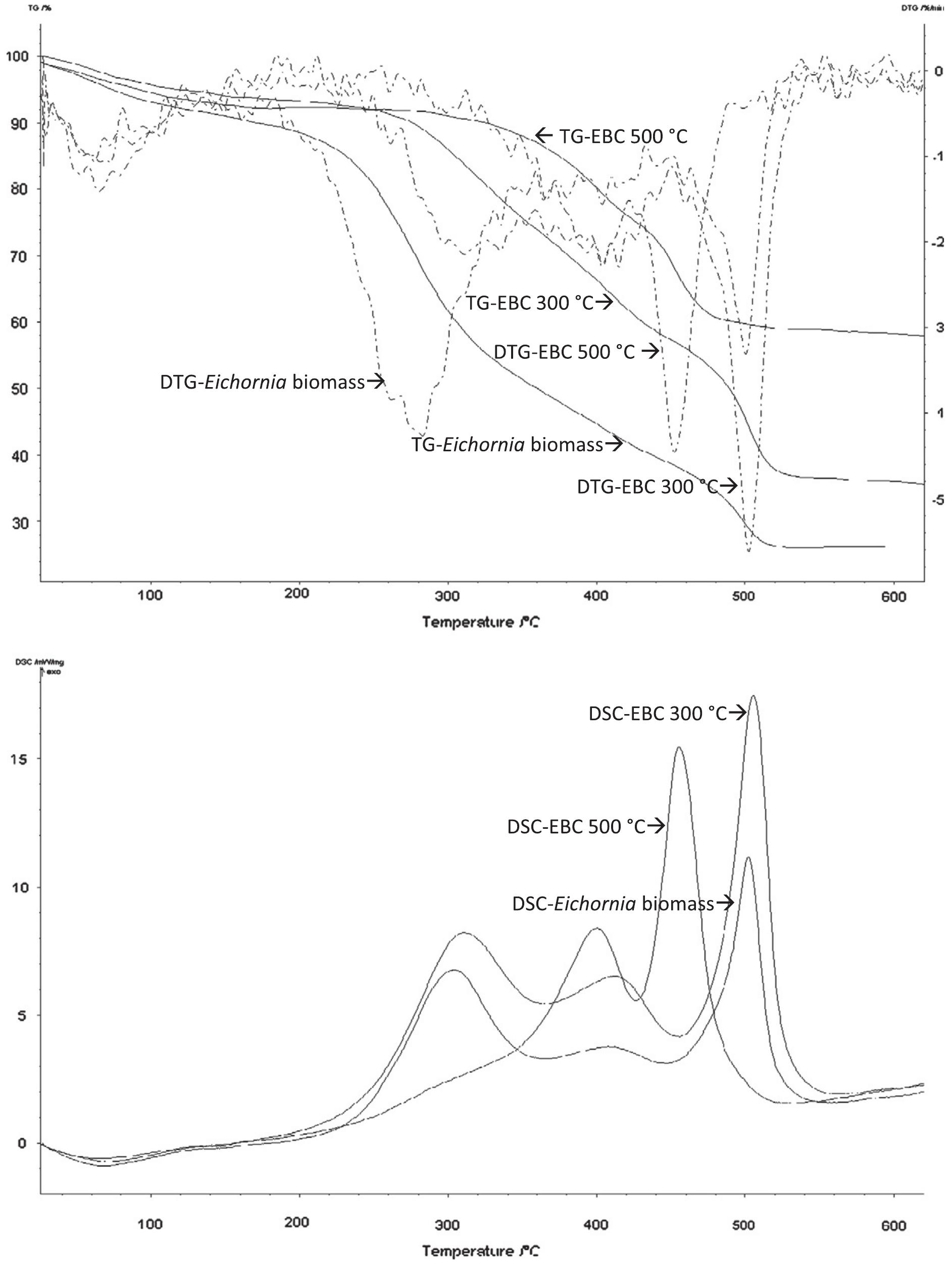 Tga-dtg and dsc curves of eichornia biochar and the biomass