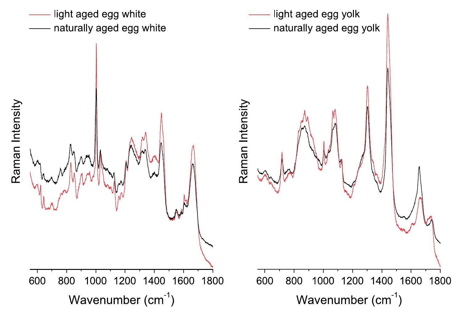 Raman spectra of egg white and egg yolk in the fingerprint