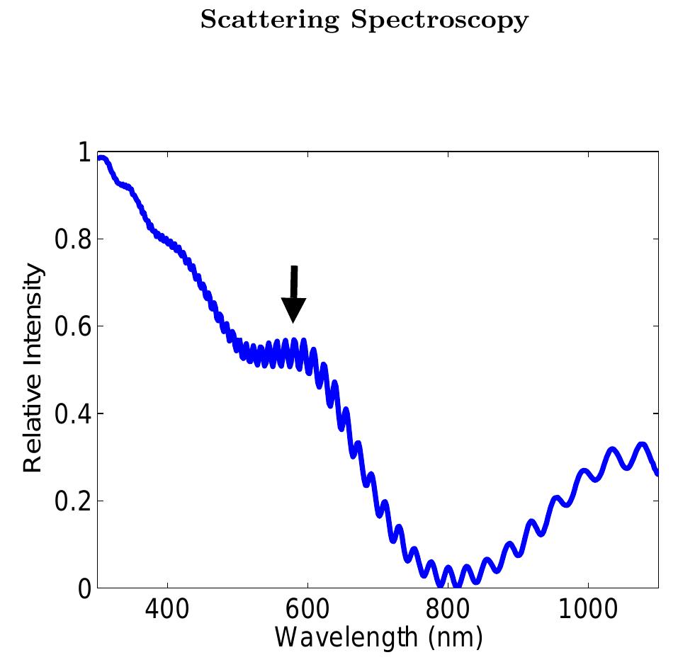Typical scattering spectra of microsphere suspensions in