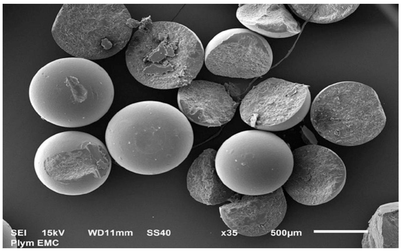 4 scanning electron microscope image of microbeads isolated