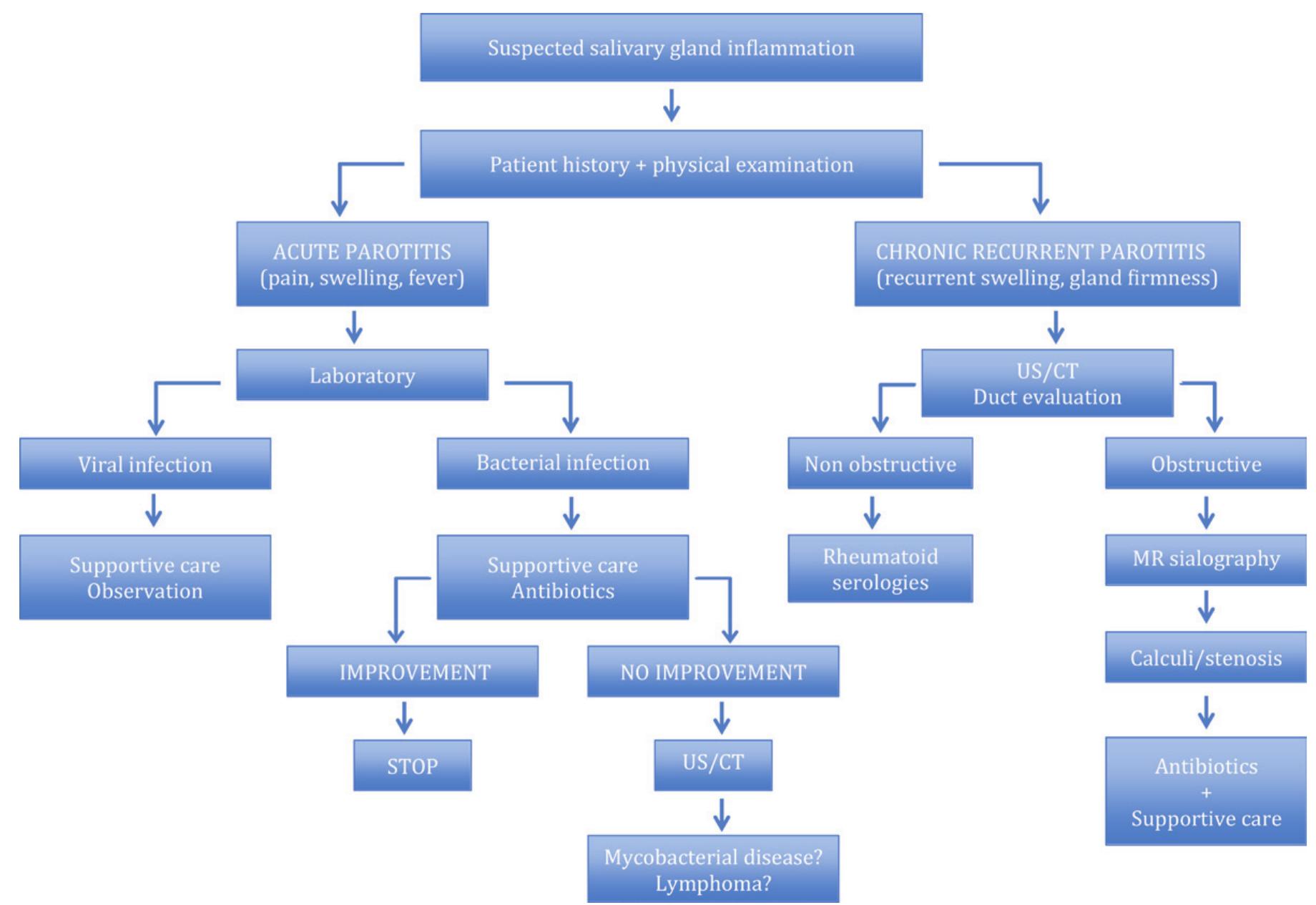 Algorithm for diagnosis of suspected salivary gland