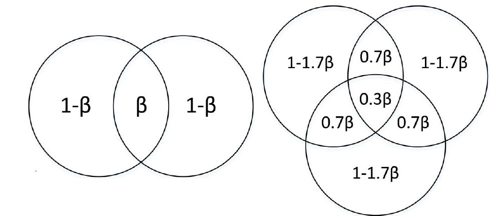 6 model for duplicated and triplicated systems [5].