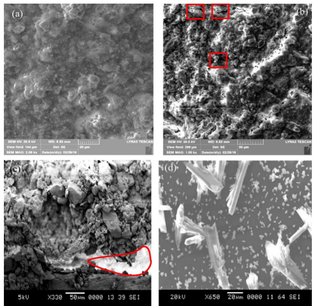 Sem images of clay sediments on glass substrates (mehmood et