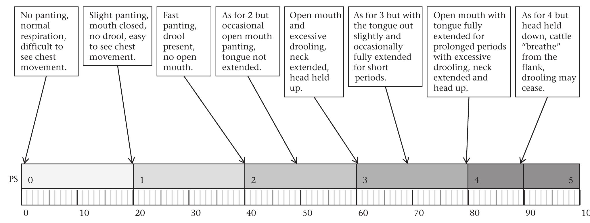 The 100 mm tagged visual analogue scale labelled with