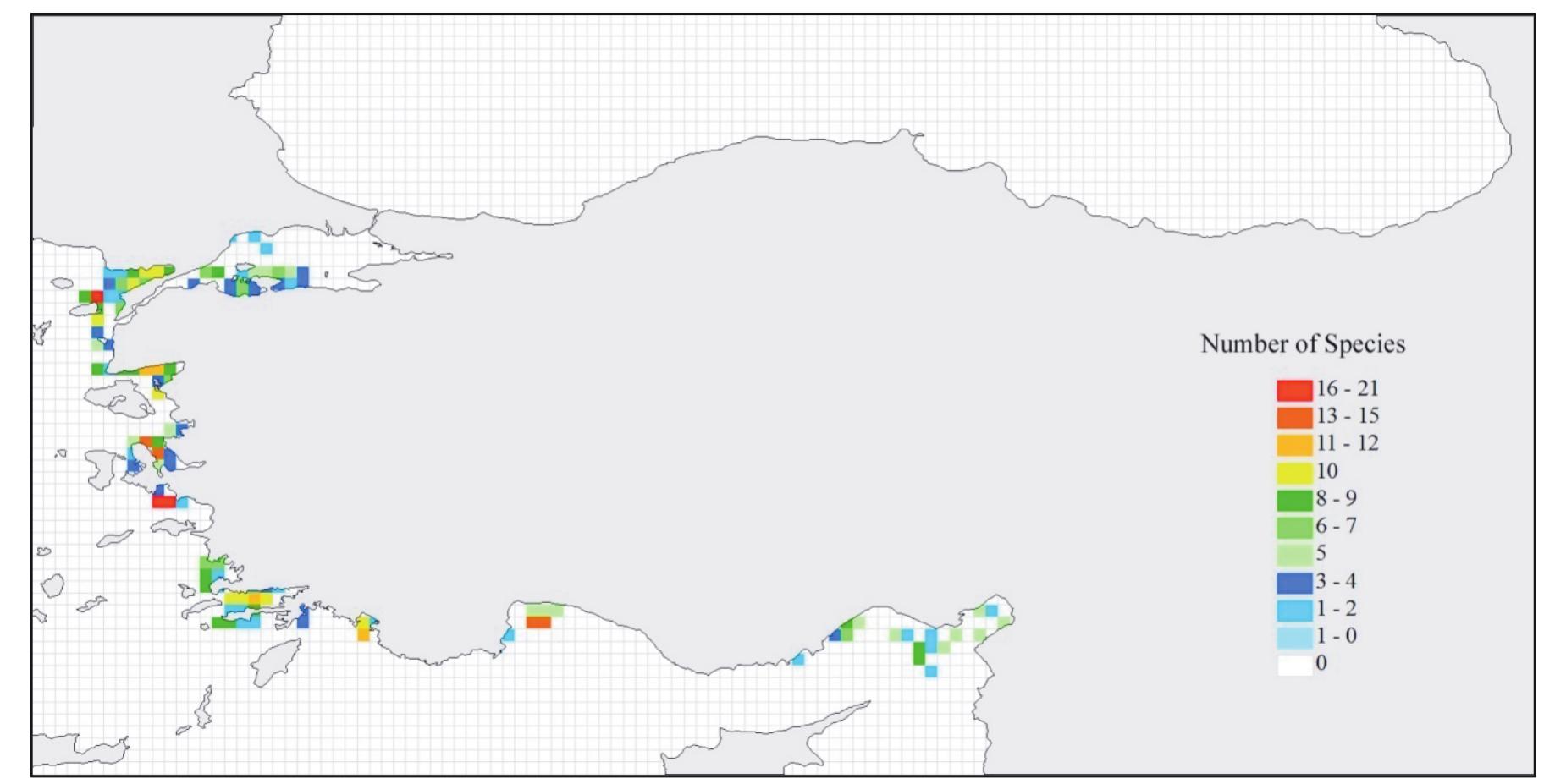 Map showing the distribution of cephalopod species along the