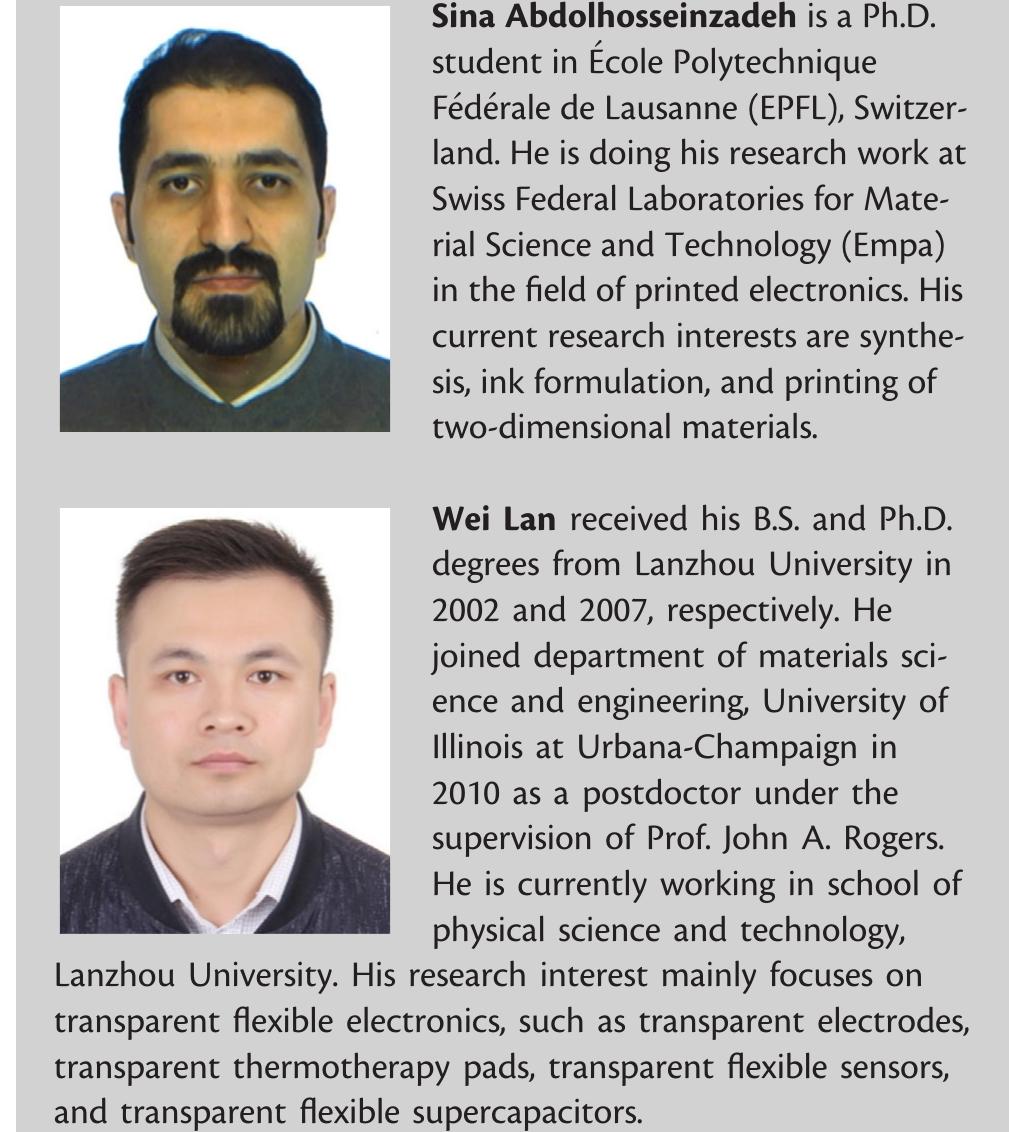Amir pakdel is a multidisciplinary nanomaterials scientist,