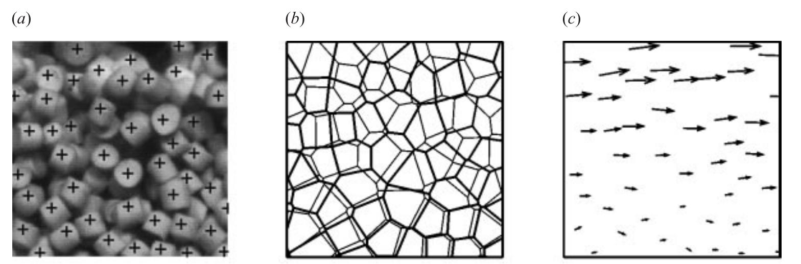 Ficuree 11. steps of the pattern-based particle tracking