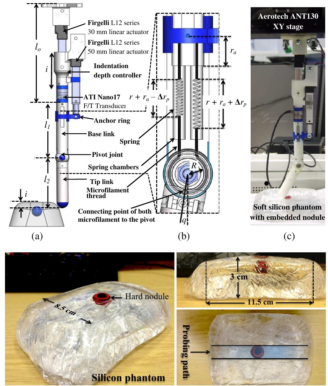 (a) design of this robotic probe comprises of two firgelli