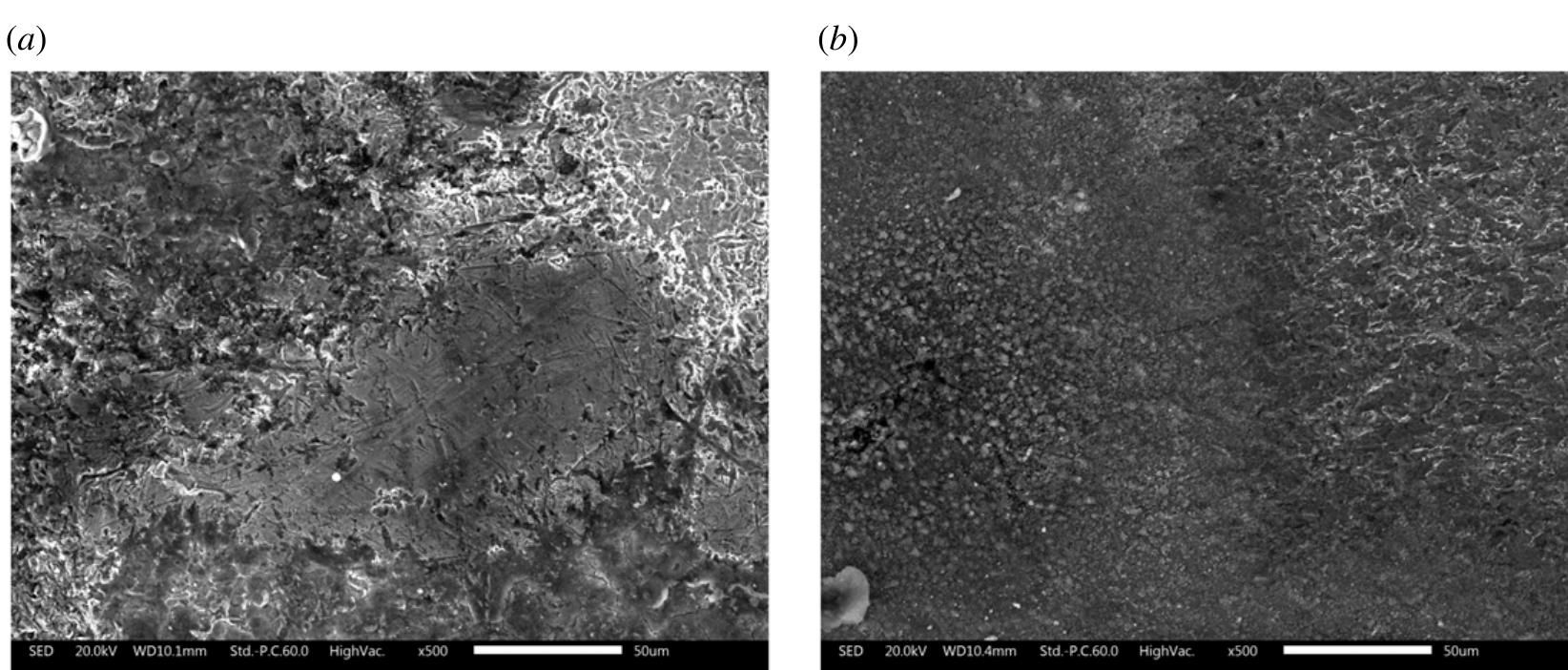 Sem micrographs of steel (a) after immersion in 3.0% nacl,