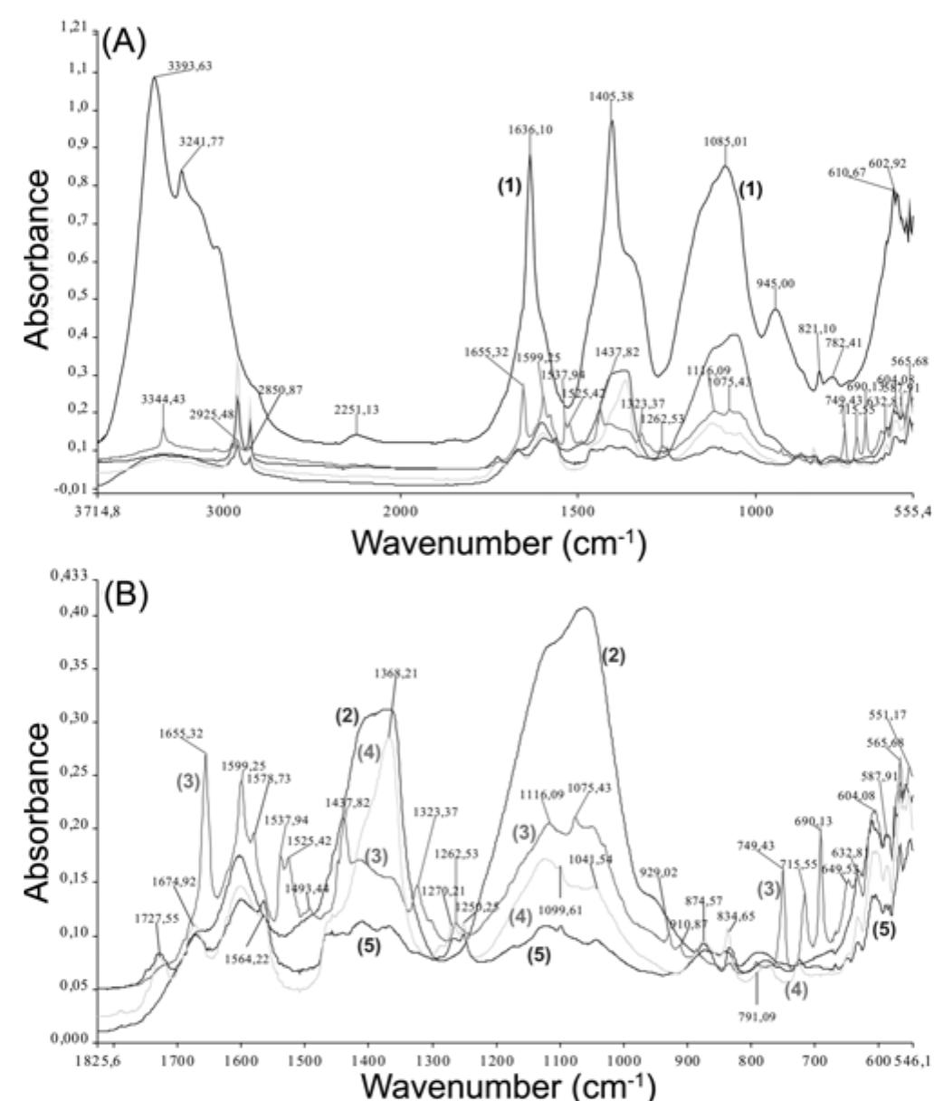 , ft-ir spectra (a) and truncated ft-ir spectra (b) of the