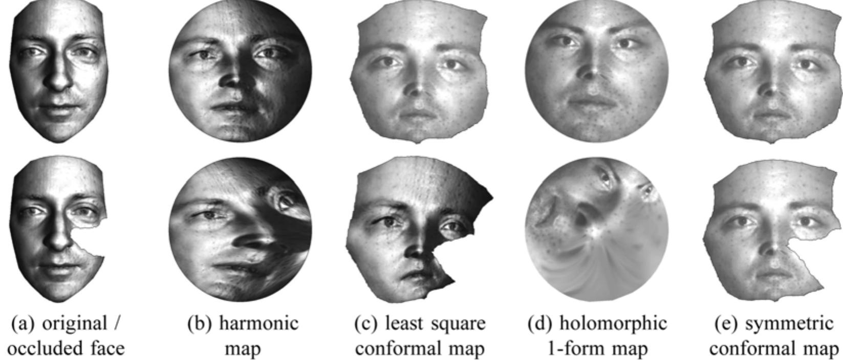 Comparison among different conformal mapping methods for