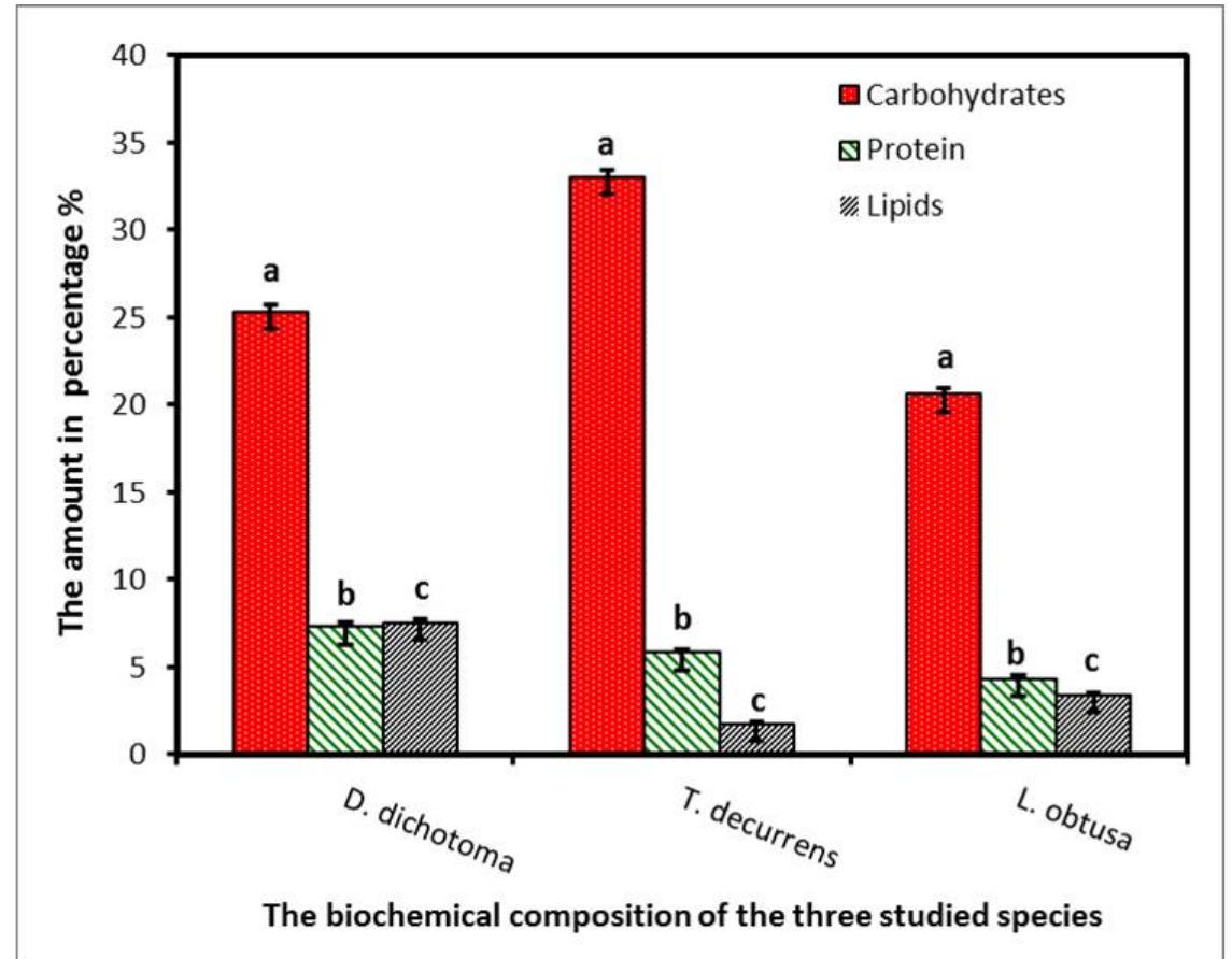 Diagram illustrating the carbohydrate, protein and lipid