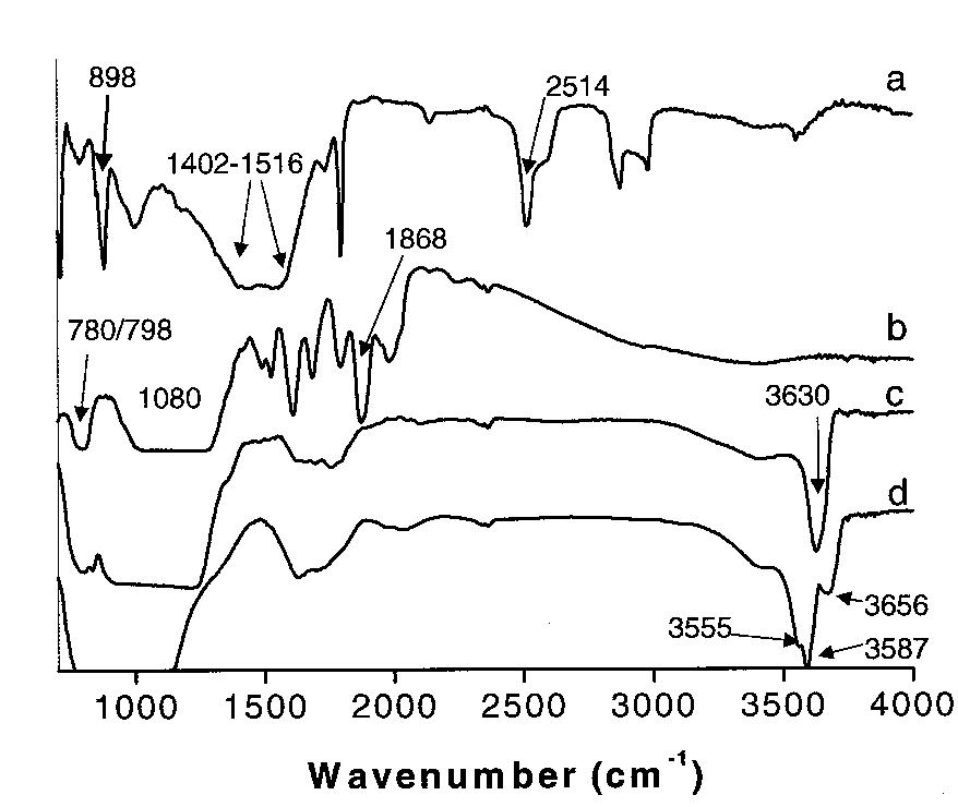 Fic. 3. | micro-ir spectra of the different phases of the