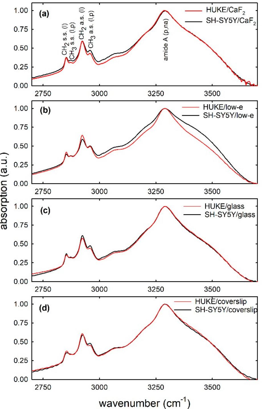 Average normalized ftir spectra of human keratinocyte (huke)