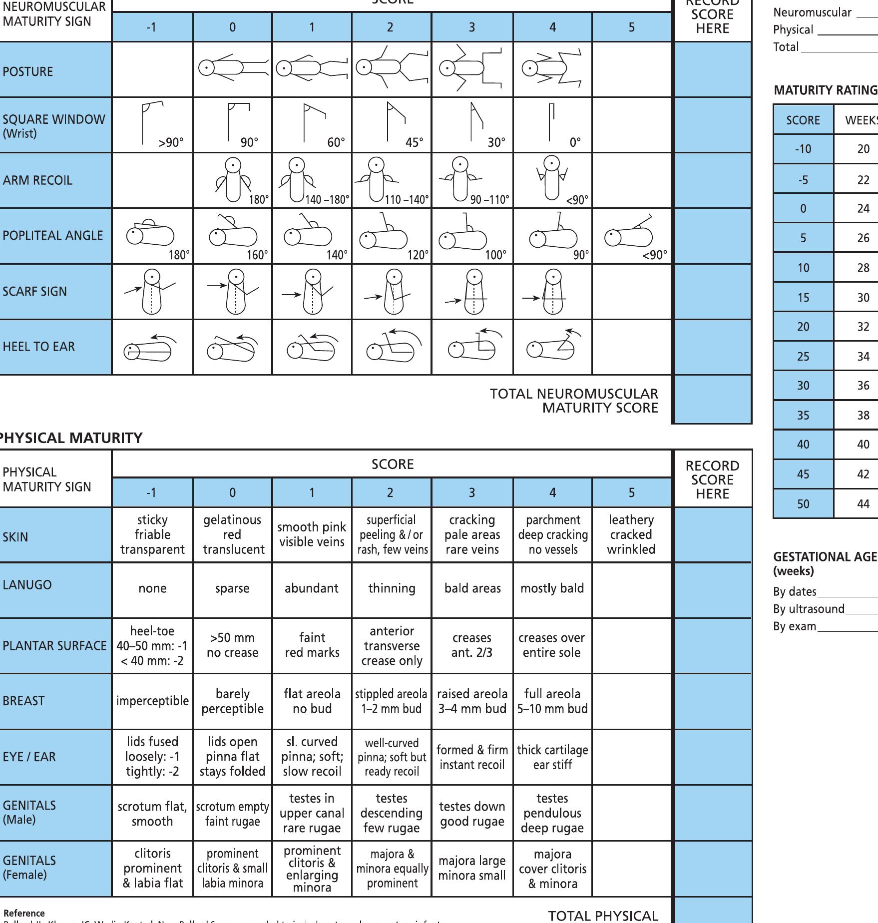 Neuromuscular maturity pig. £. inew dallard ocore chart.