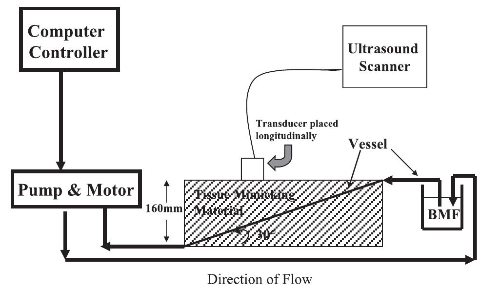 Schematic of the penetration depth flow phantom setup. a