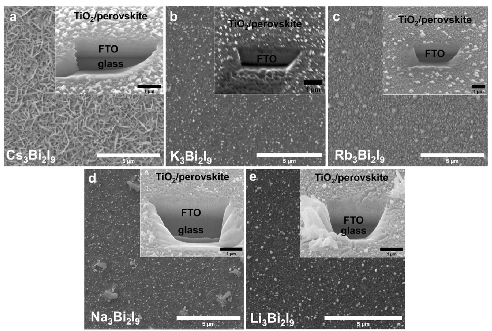 The scanning electron microscopy images of all-inorganic