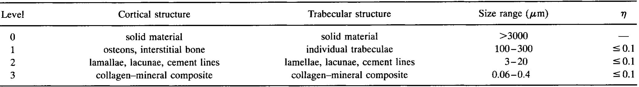 I. trabecular and cortical bone structural organization