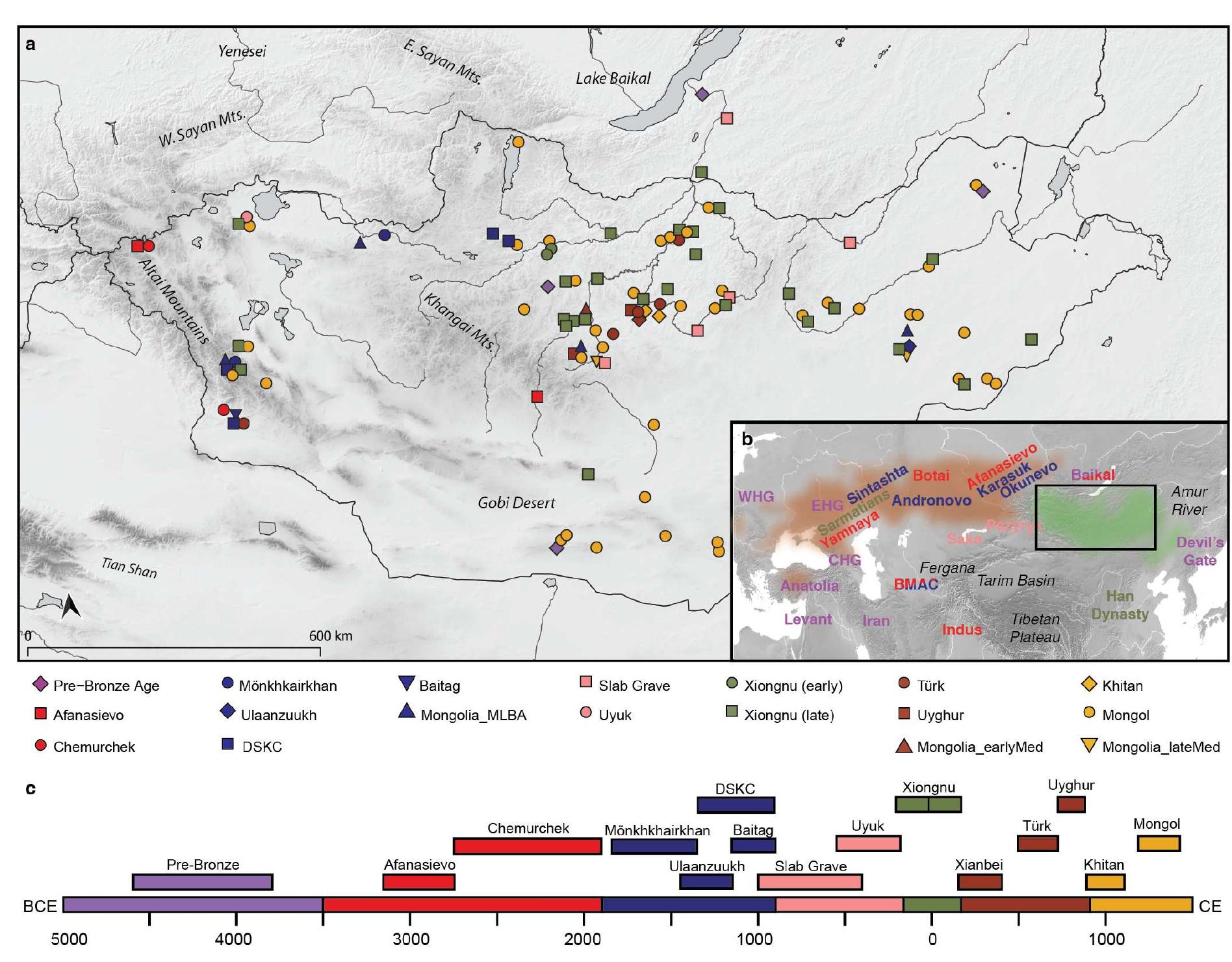 Overview of ancient populations and time periods. (a),