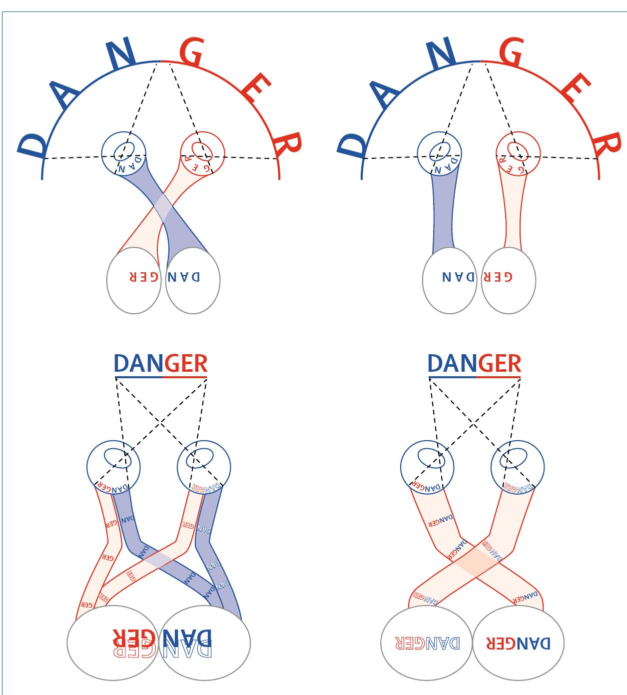 Crossed and uncrossed visual pathways images forming on the