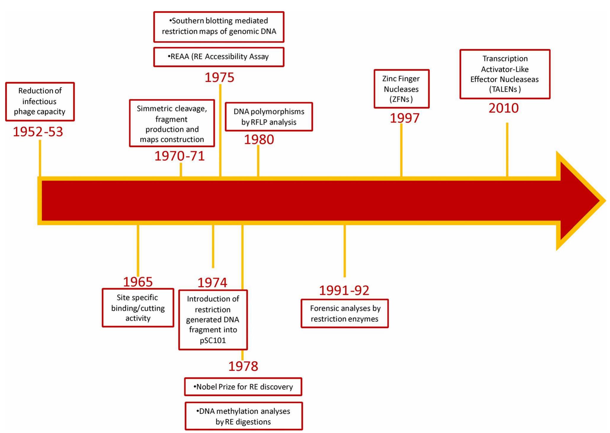 Timeline showing major milestones in the history of