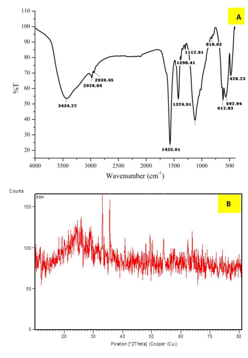 A ftir spectrum, b xrd image of magnetite nanoparticle