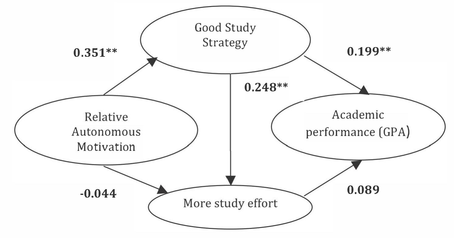 Structural equation model depicting relationship between