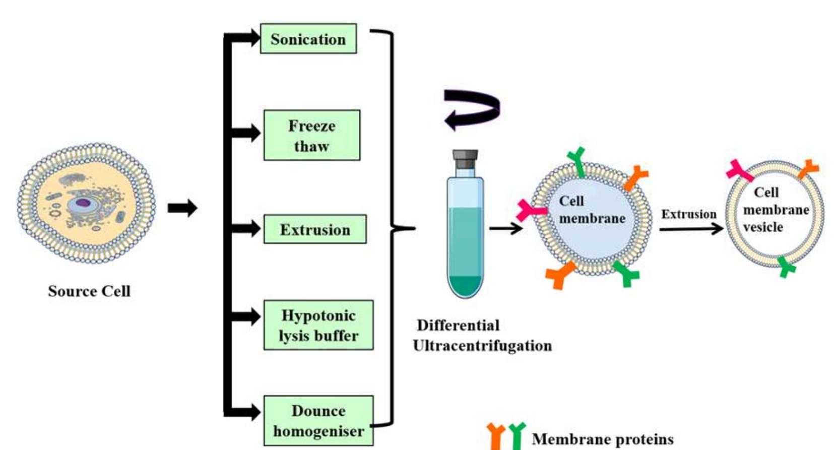 Schematic representation of different methods for isolation